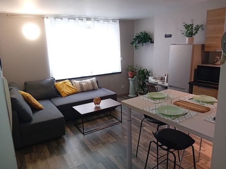 Appartement Charmant - Mirecourt
