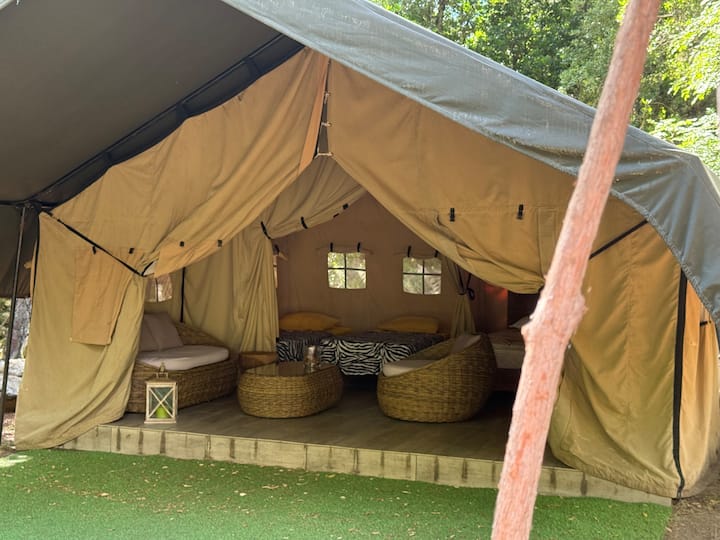 Lodge Dépaysement Et Zénitude - Zonza