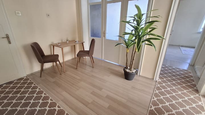 ŞEhir Merkezinde Ferah 2+1 Eşyalı Daire - Sivas
