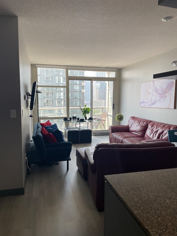 Blue Jays Across Street Luxury Condo Free Parking - Toronto