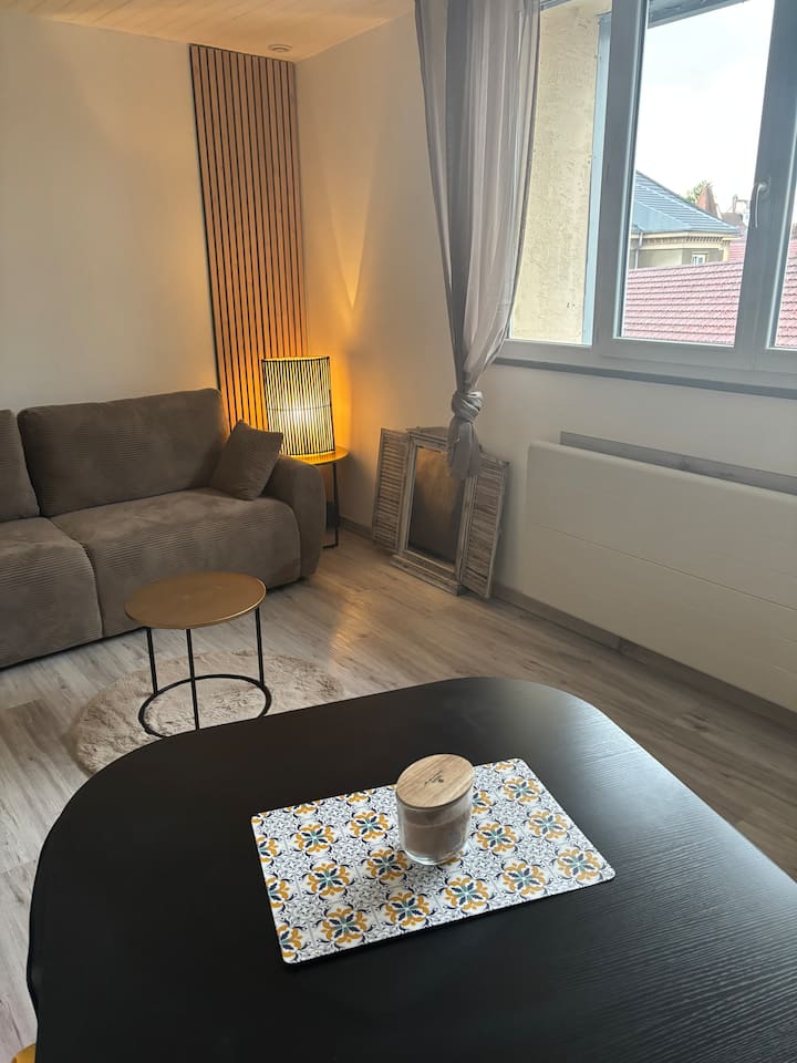 Studio Plein Centre - Pontarlier