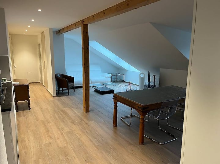 3 Minutes De La Gare, Lausanne Superbe Loft 80 M2 - Lausanne