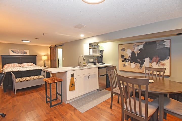 Modern Basement Studio Suite W/separate Entrance - Norwood