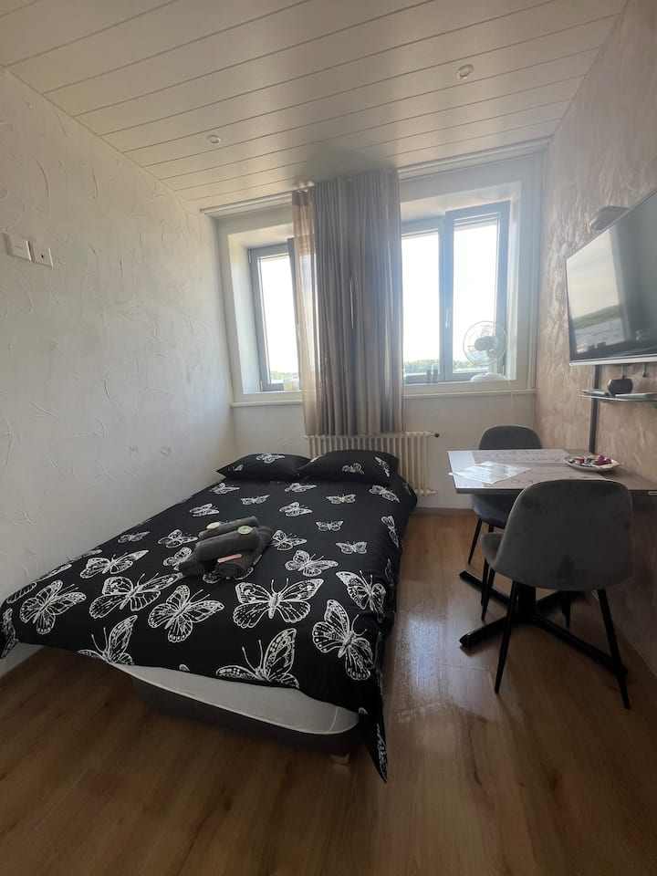 Studio Idéal Pour 2 Personnes - Crissier