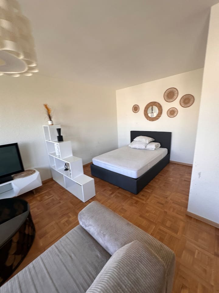 Appartement Genève Centre - Genève