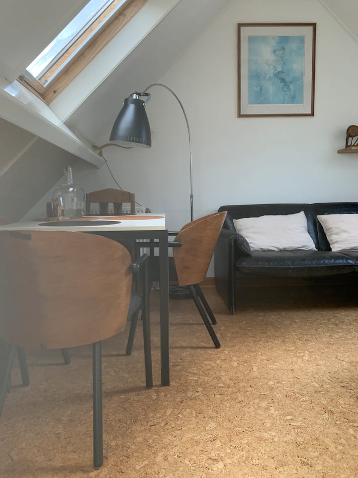 Eenvoudig, Klein En Schoon Appartement. - Deventer