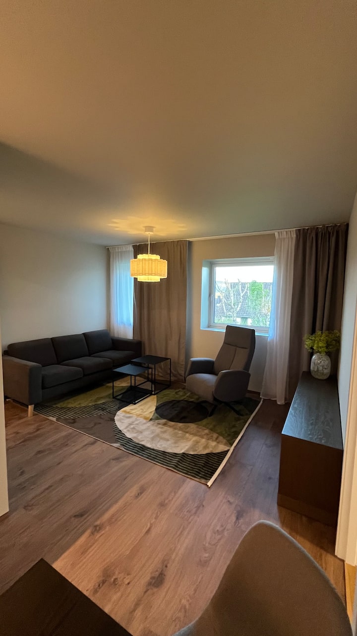 Moderne Sokkelleilighet - Trondheim