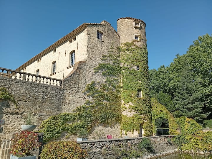 Appartement Dans Château Avec Piscine Et Parc - Bagnols-sur-Cèze