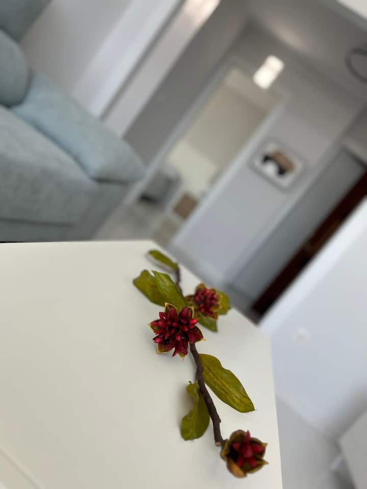 Apartamento Real4c Vut - Burela