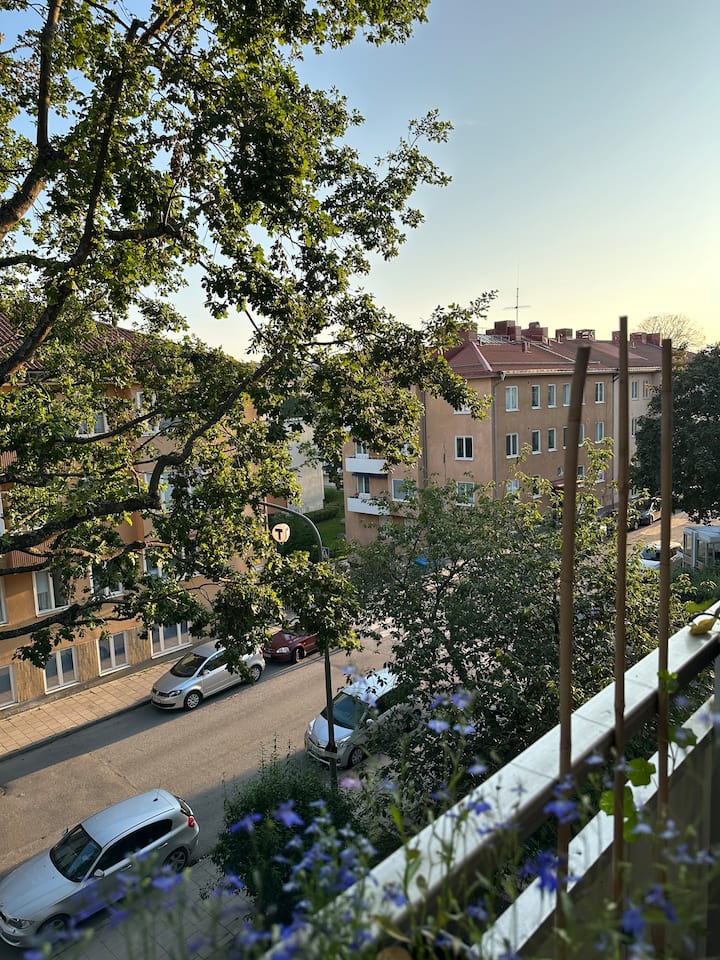 Underbar Lägenhet På ÖStermalm, Gärdet - ストックホルム