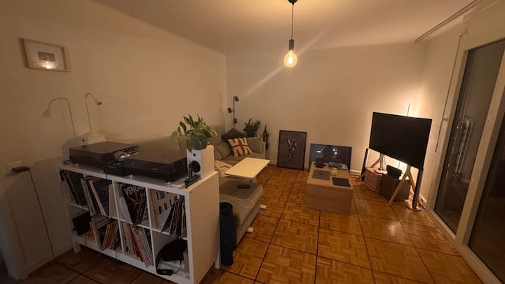 Sous-location Appartement Lumineux Vue Sur Le Lac - Vevey