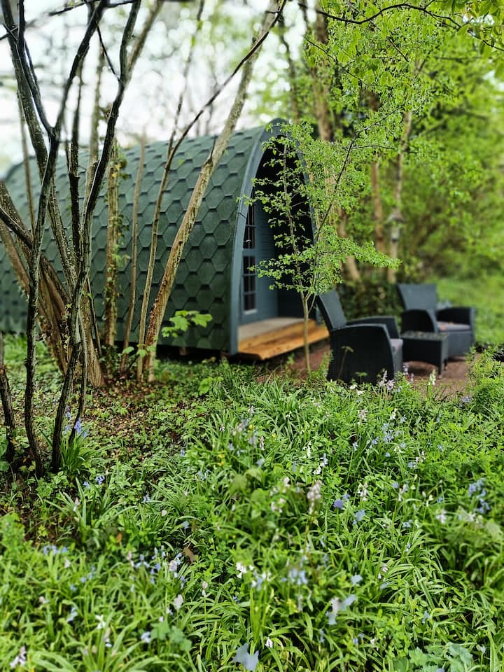Camping Pod – Knus, - Drachten