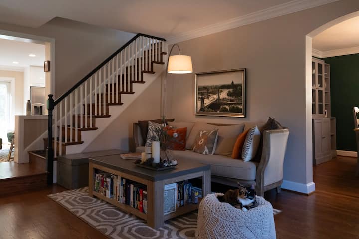 Private Suite & Feline Retreat - Arlington, VA