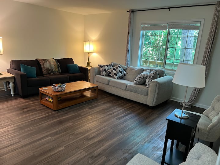 Entire Quiet 2br/2ba Apartment - Brookhaven, GA