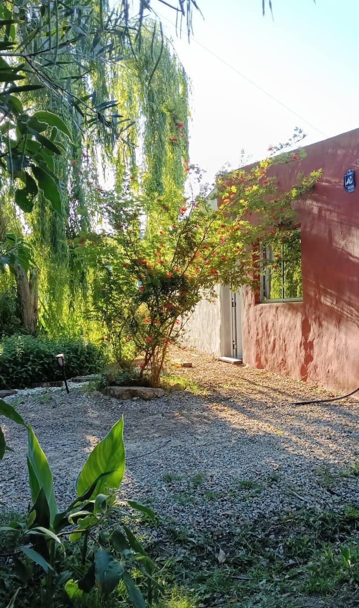 Paradise - Sauce de Portezuelo