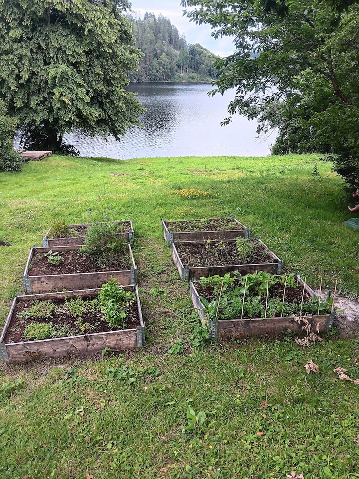 Sjeisen Husmannsplass - Siggerud