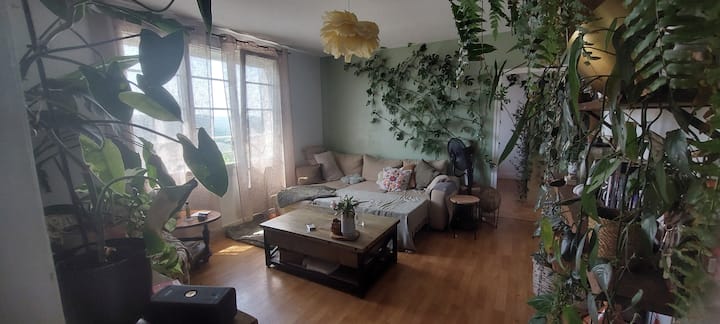 Appartement T2 - Figeac