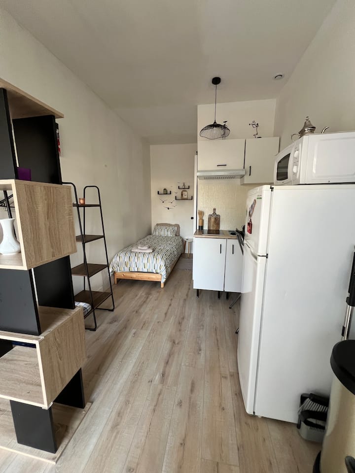 Studio Indépendant éQuipé-lac De Maine - Angers