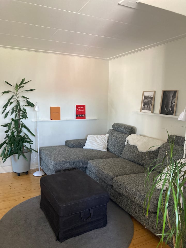 Lägenhet,3 Rum Och Kök. - Lidköping