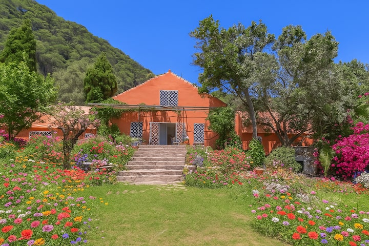 Casa Pájaro Colores Bolonia - Zahara de los Atunes