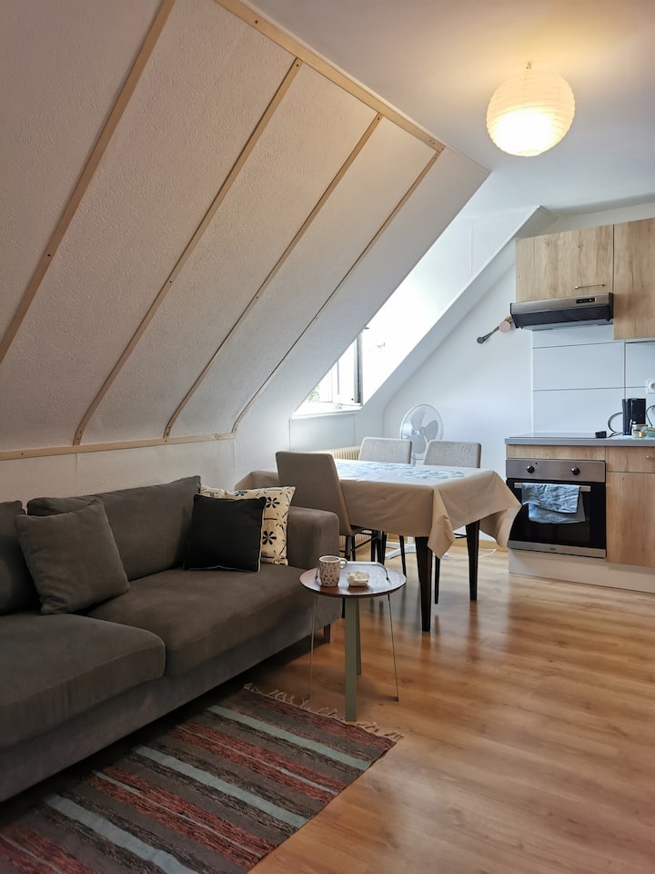 Confort T3, Parking Gratuit, Tram-train, Autoroute - Mulhouse