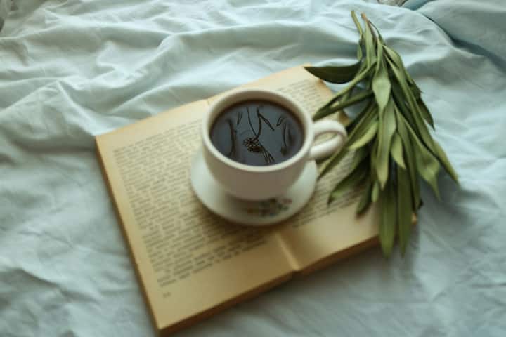 Loisir & Travail. Séjour Court Ou Long 2 Chambres - Mulhouse