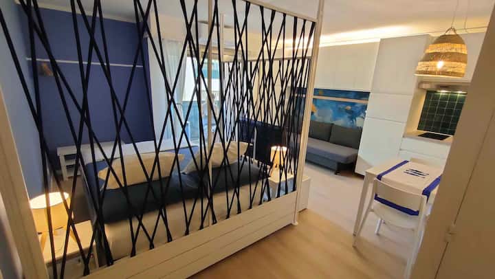 Grand Studio Climatisé (Parking Gratuit) - Musée Matisse, Nice