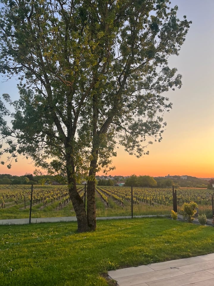 La Clé Des Vignes - Oudon