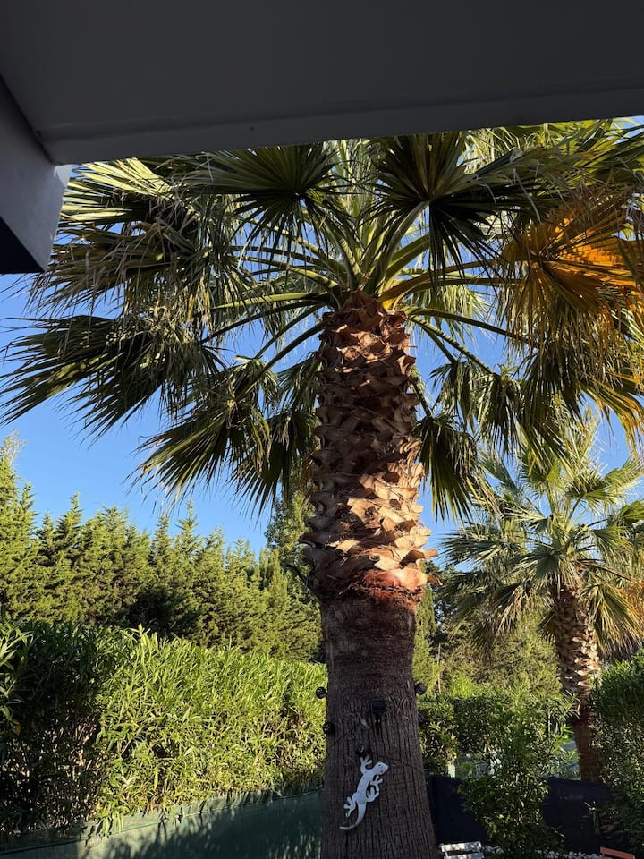 Studio Sainte Marie La Mer - Sainte-Marie-la-Mer