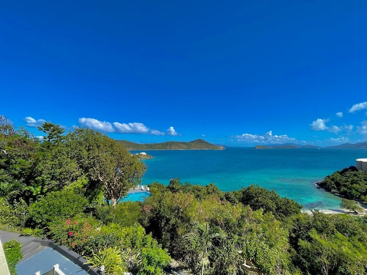 Island Views/caribbean Breezes/sunshine! Book Now! - 세인트토머스 섬