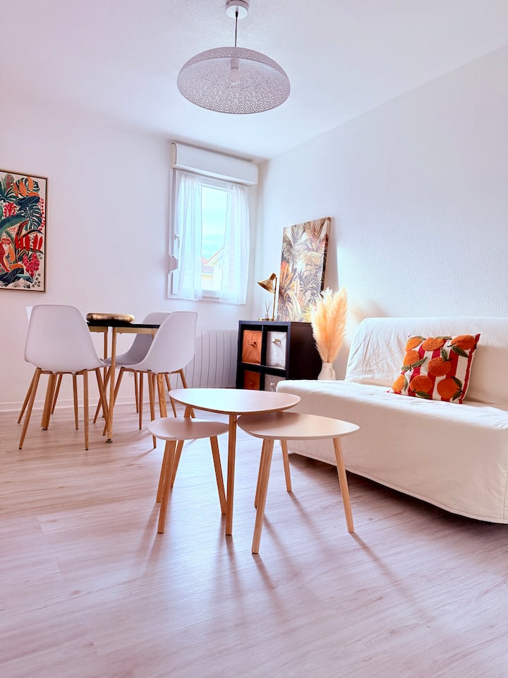 La Parenthese • Cosy & Coloré - Terrasse - Parking - Blagnac