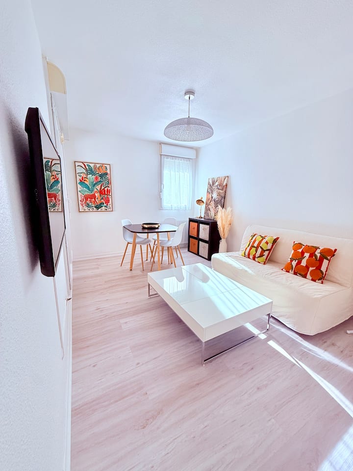 T1 Bis Terrasse & Piscine – 4 Min Aéroport/airbus - Blagnac