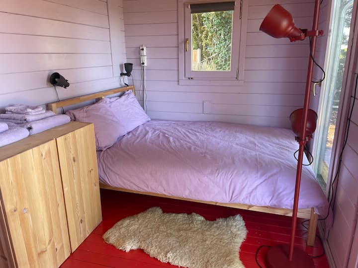 De Spot: Uniek Zicht, Verstopt Achter Basisschool - Stadskanaal