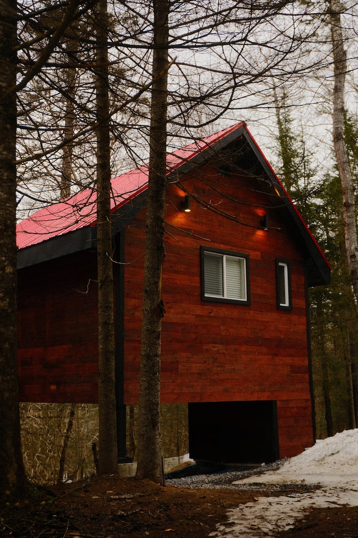 Haus In The Trees. - Ontario 60