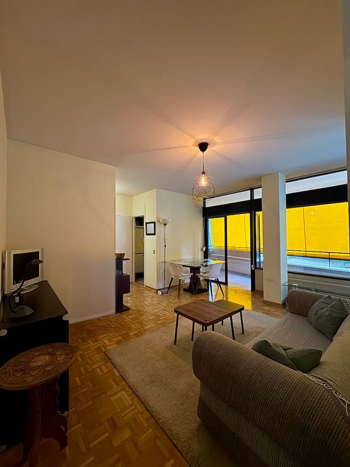 Appartement Cosy Et Bien Situé - Ginevra