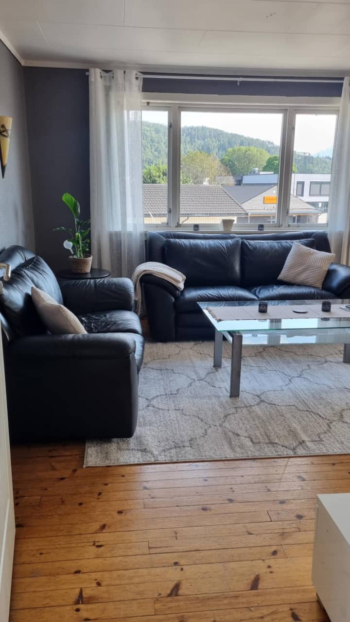 Stor Leilighet Sentralt I Spjelkavik - Alesund