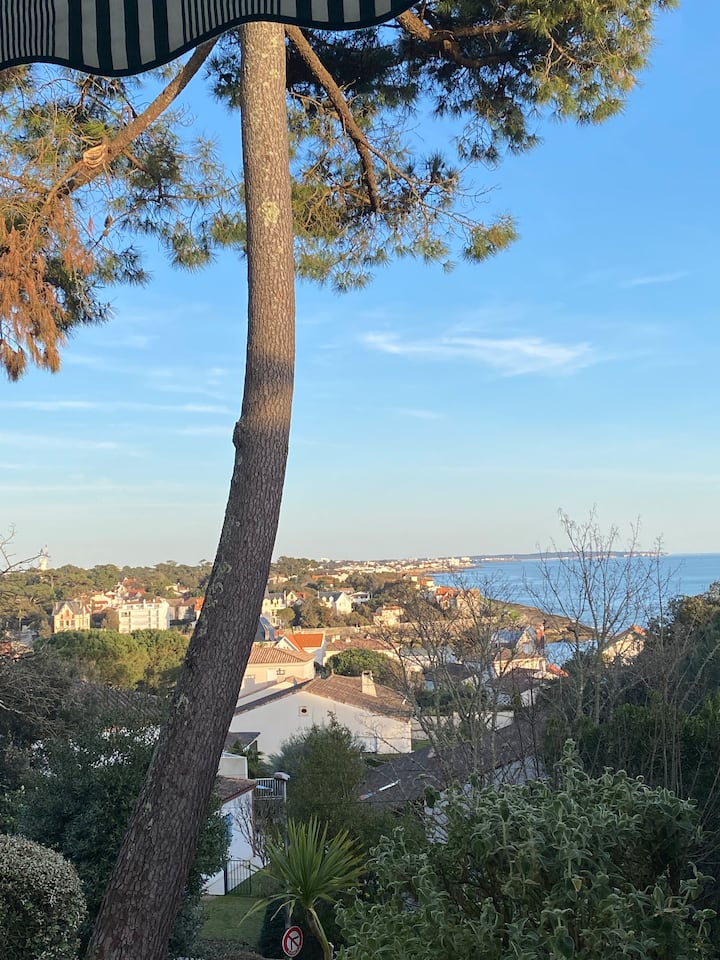 Vue Mer Et Soleil Au Belvedère - Saint-Palais-sur-Mer