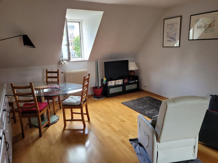 Duplex Proche De Strasbourg - Bischheim