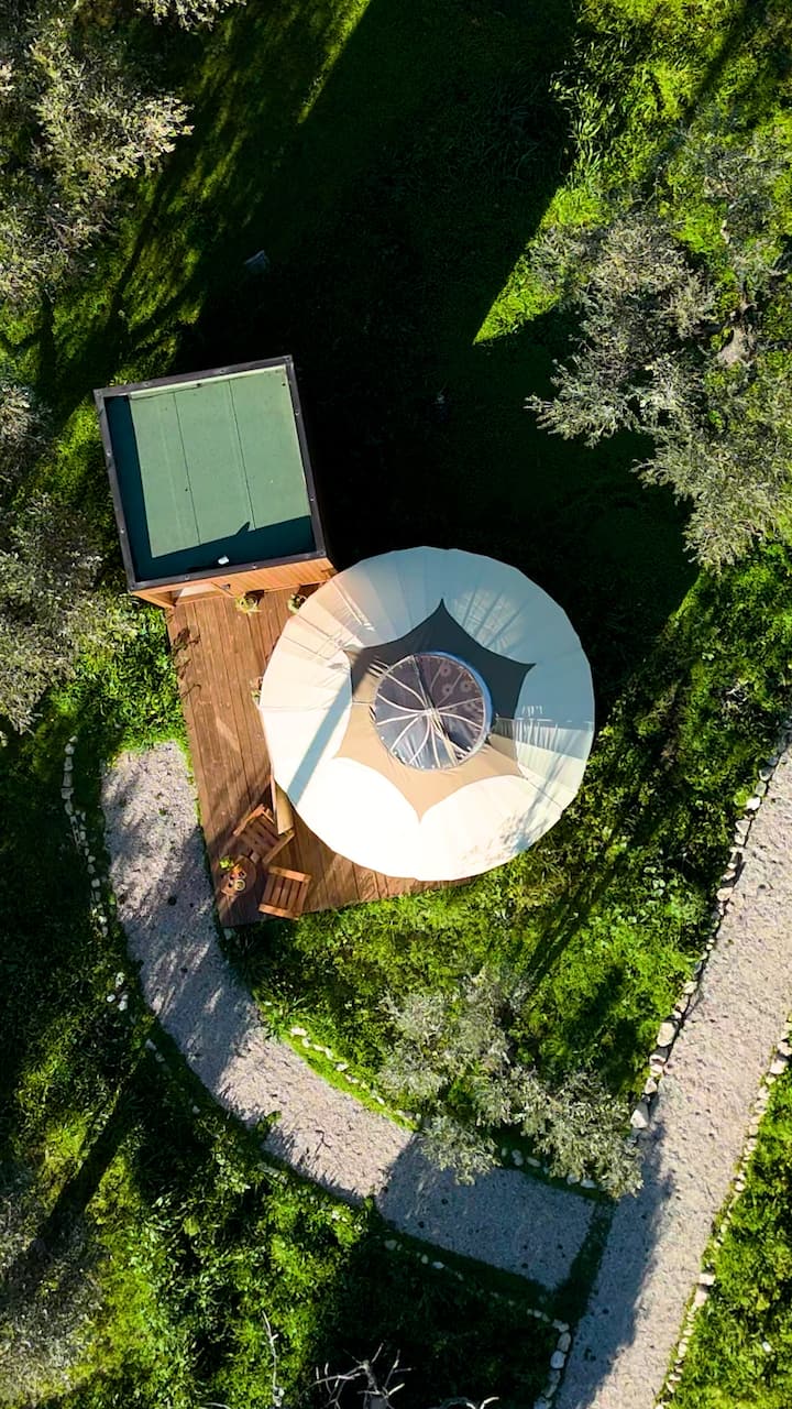 Glamping Agricolo Peku Peku - Yurta Ficuzza - - Termoli