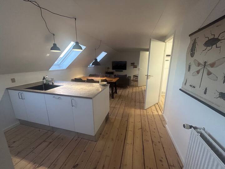 Central Lejlighed Midt I Ribe - Ribe