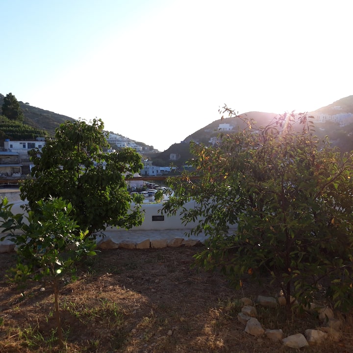 Agriturismo Casa Guarnieri -Fico - Ponza