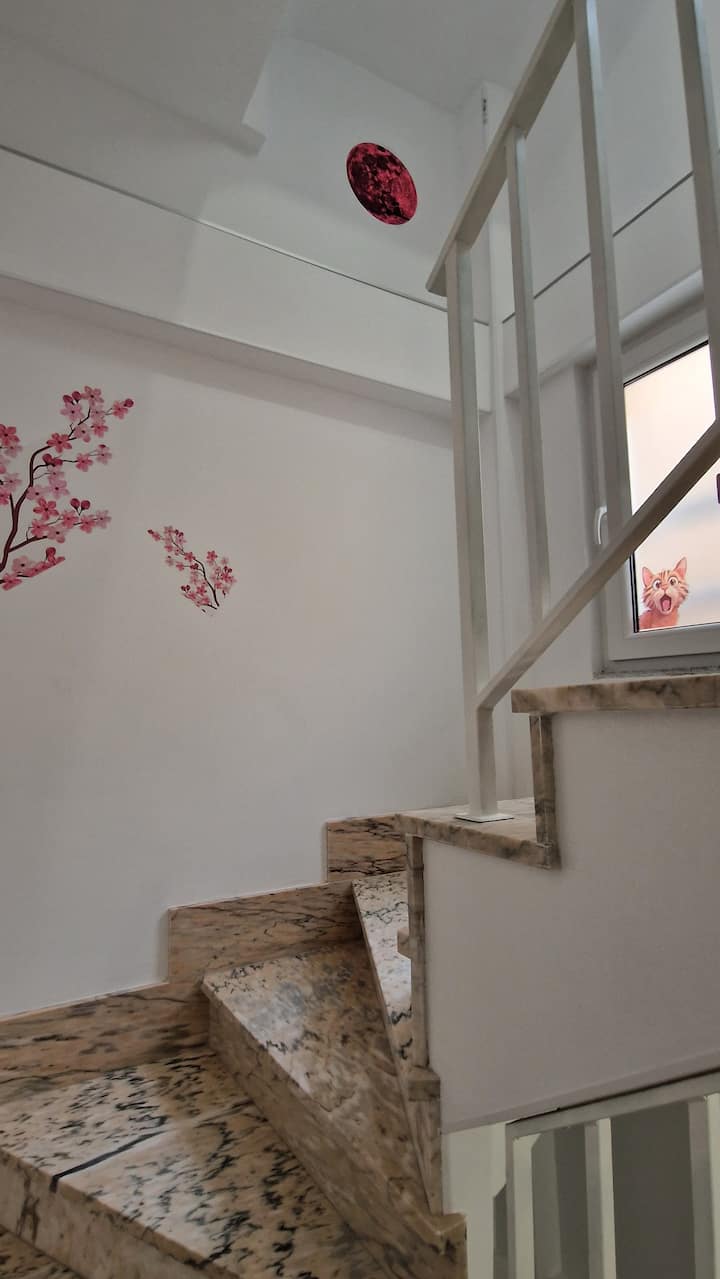 Serranos Salamanca Centro Grupos - Salamanca, Spanien