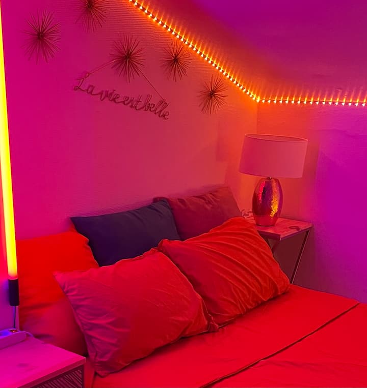 Studio Harmonie Climatisé Fibre - Musée Fabre