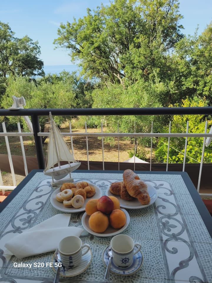 Villa Duchessa - P. Piano Tra Cielo, Mare E Ulivi - Sapri