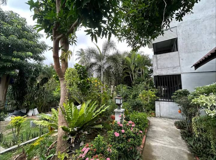 Koh Tao Tbaan Suan  Hotel Std 1 - 따오 섬