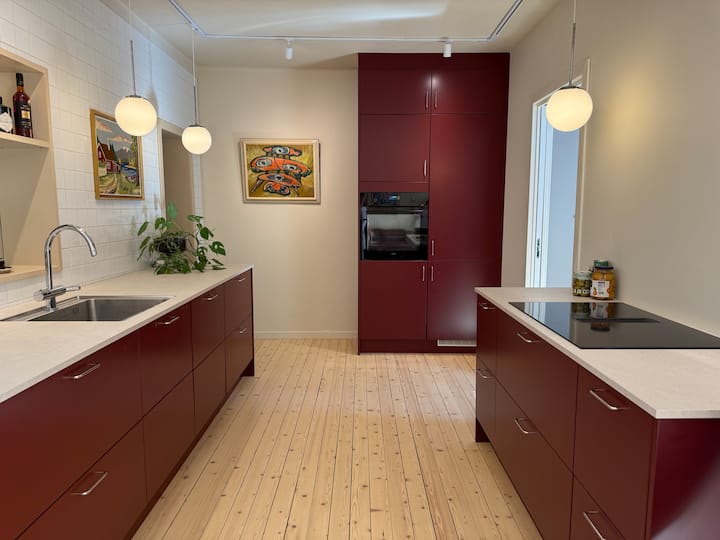 Sentral Og Romslig Leilighet - Oslo