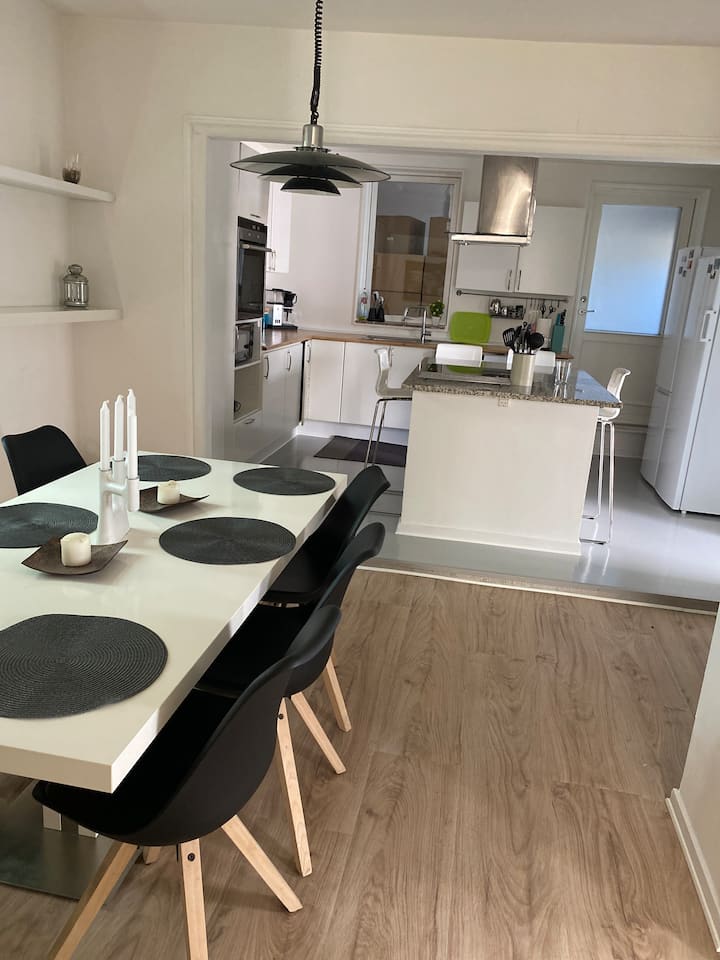 Merkeze Yakin Bahceli  öZel Otaparklı Ev - Copenaghen