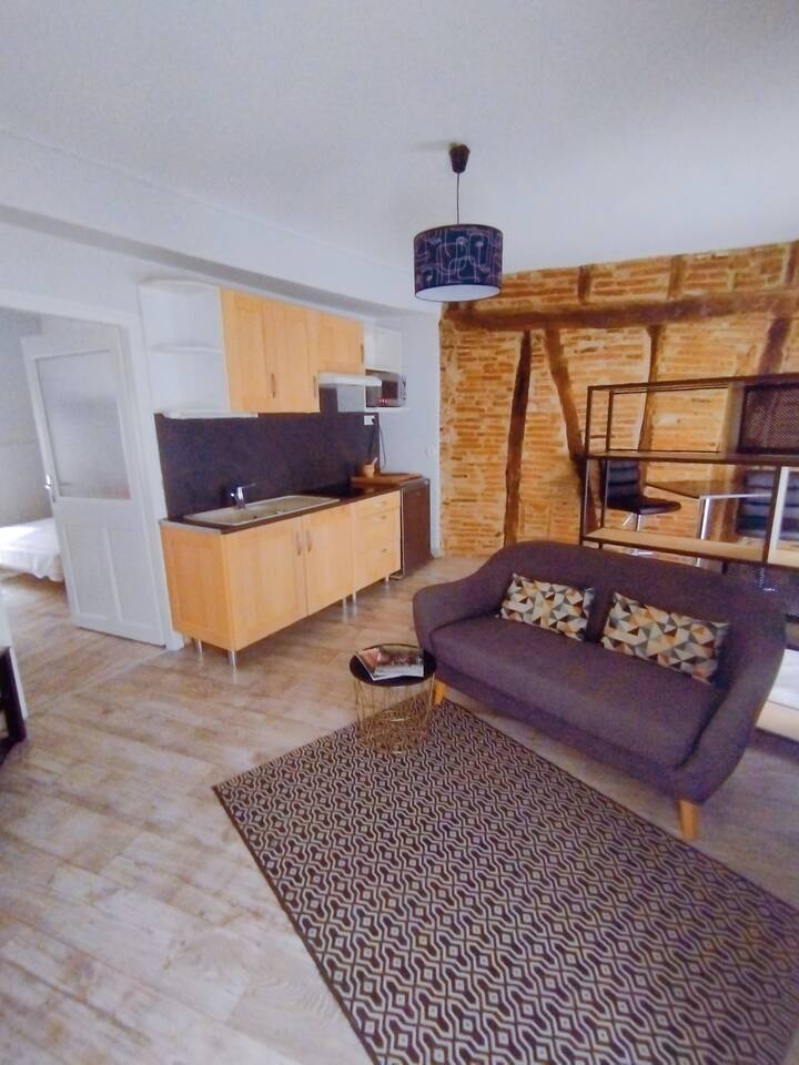 Appartement Calme Cœur De Ville - Castres