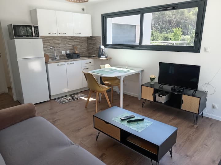 Près Cannes Appt Neuf Et Piscine - Mouans-Sartoux