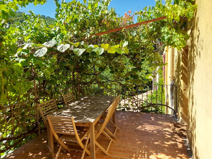 Charmante Maison De Campagne - Lodève